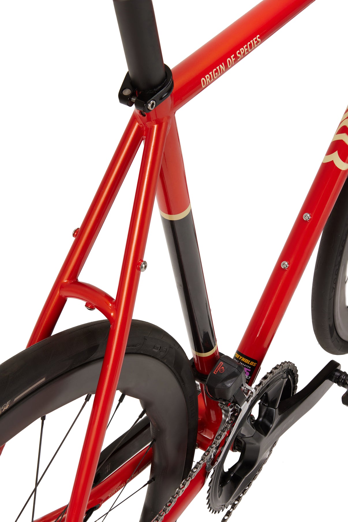 Pearson Origin Of Species Shimano 7170 105 12 Speed Di2 – Forge 1860